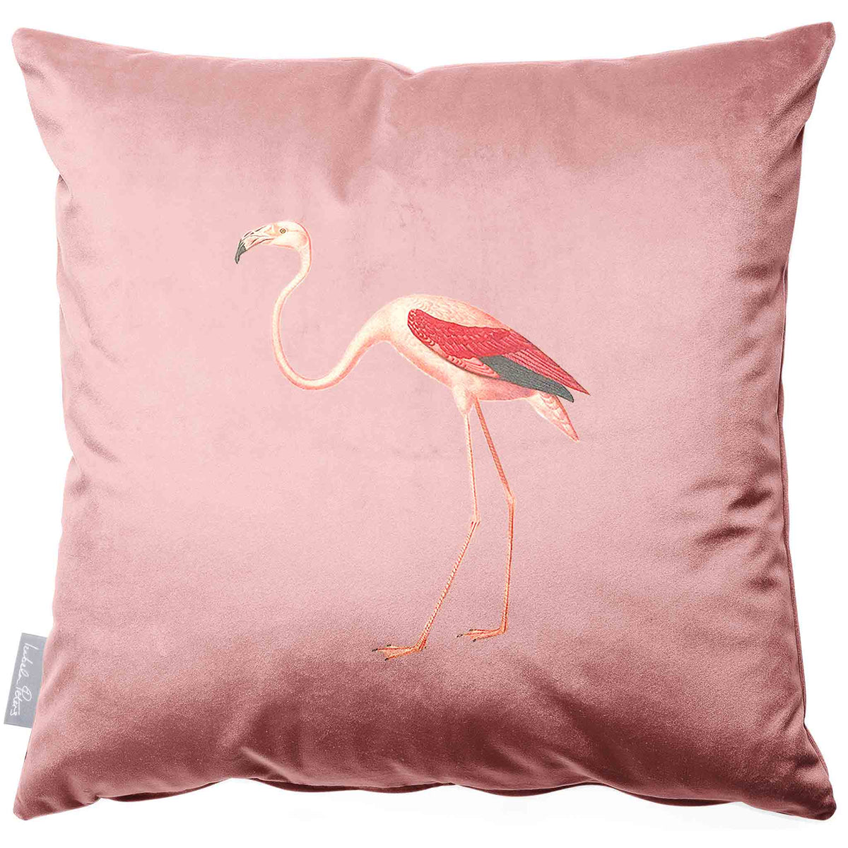 Luxury Velvet Cushion - Flamingo | Free Shipping Over £30 – Izabela Peters